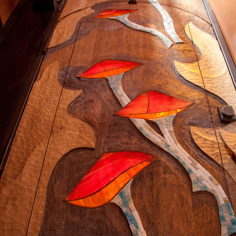 Through The Looking Glass Door – Aaron Laux Design